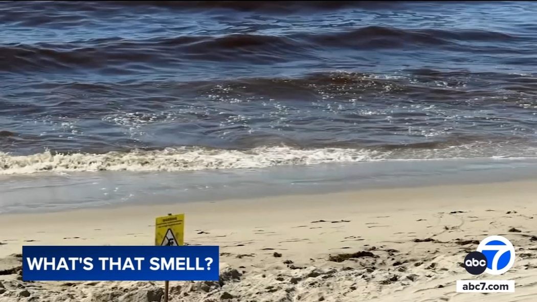 Rotten Fish Smell Gas