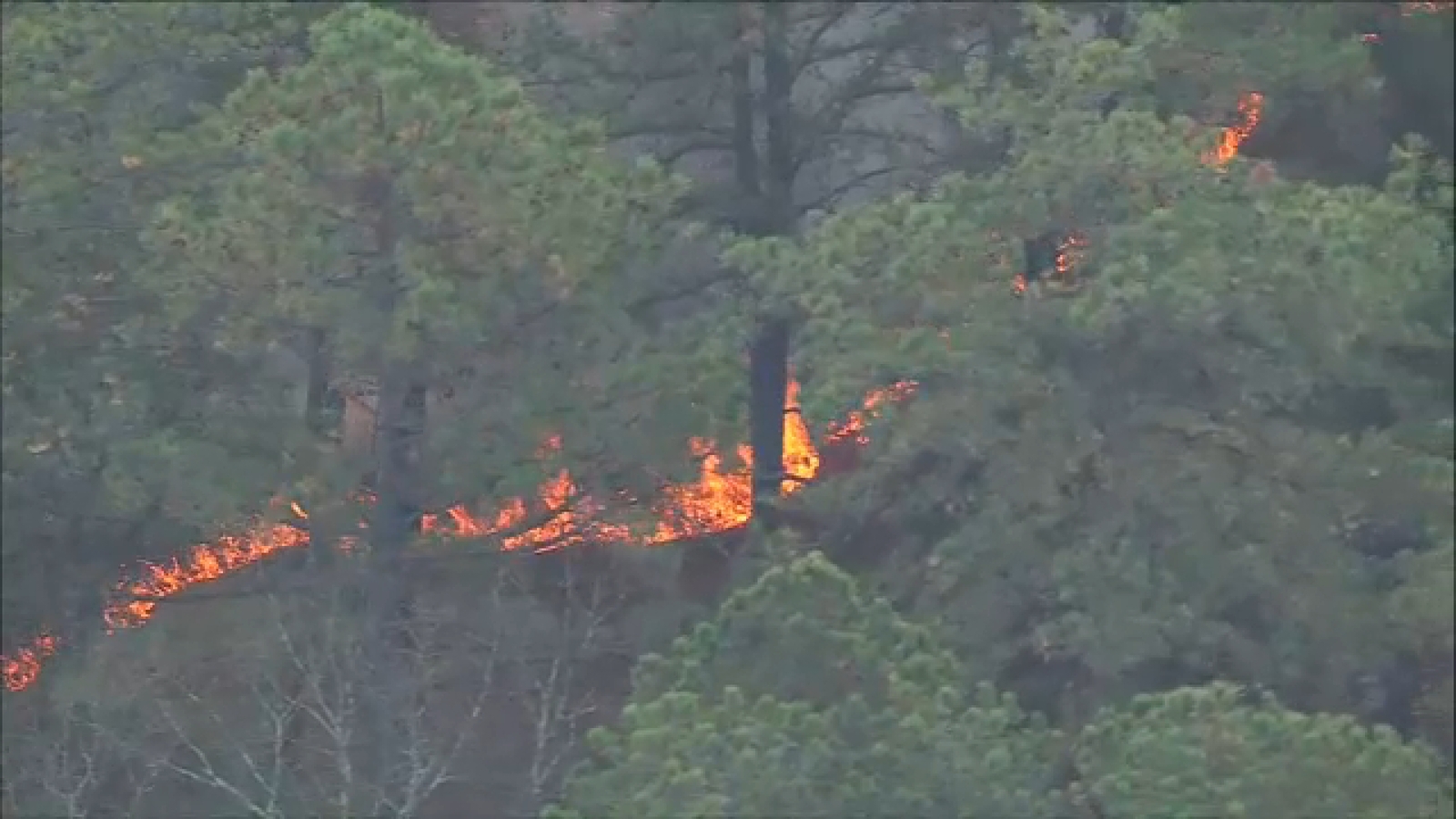 Ocean County fire: Wildfire burns more than 300 acres in Jackson ...