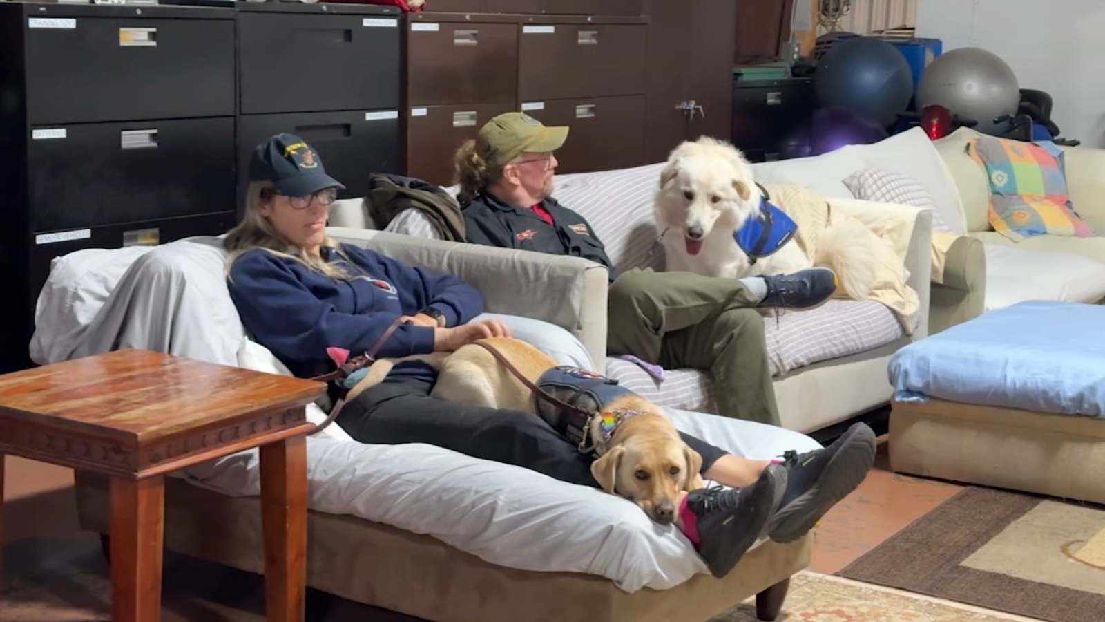 Veterans train their own service dogs through Bay Area Operation ...