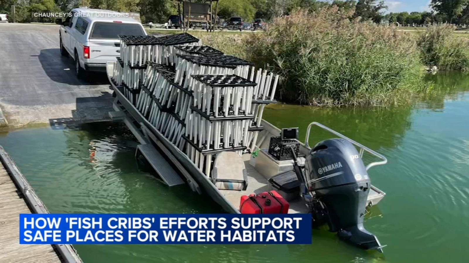 Locals use 'fish cribs' to support safe places for water habitats ...