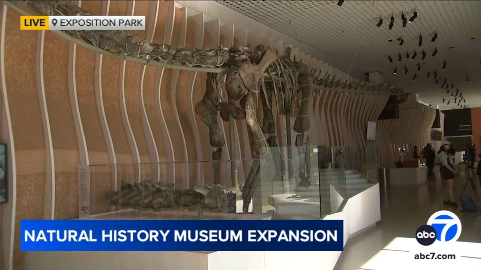Natural History Museum's new wing in Exposition Park to feature more ...