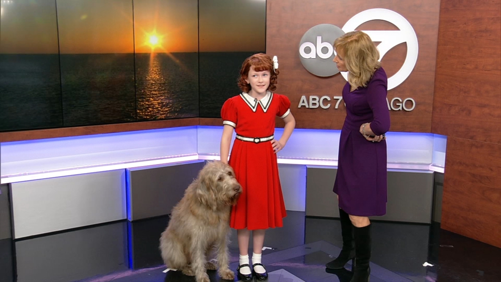 'Annie' musical now playing at Chicago Theatre; star of show, Hazel ...