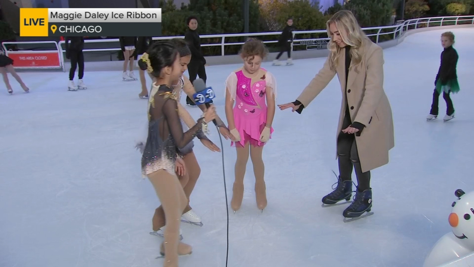 Chicago Maggie Daley Park ice skating ribbon marks 10th anniversary as ...