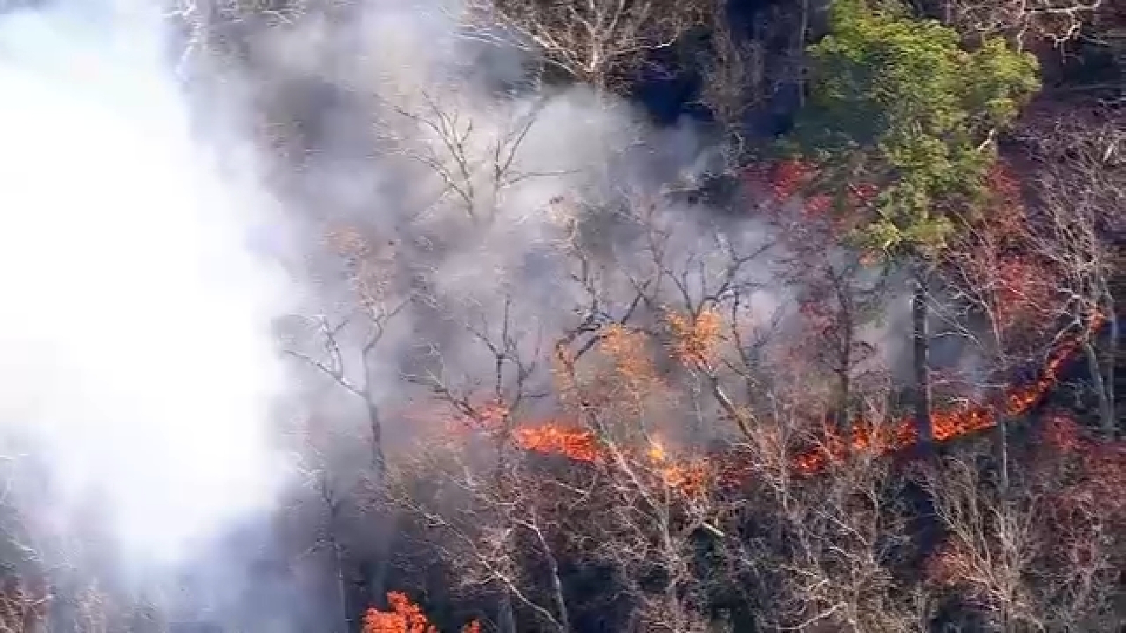 Lakewood fire: Firefighters battling wildfire in Ocean County, New ...