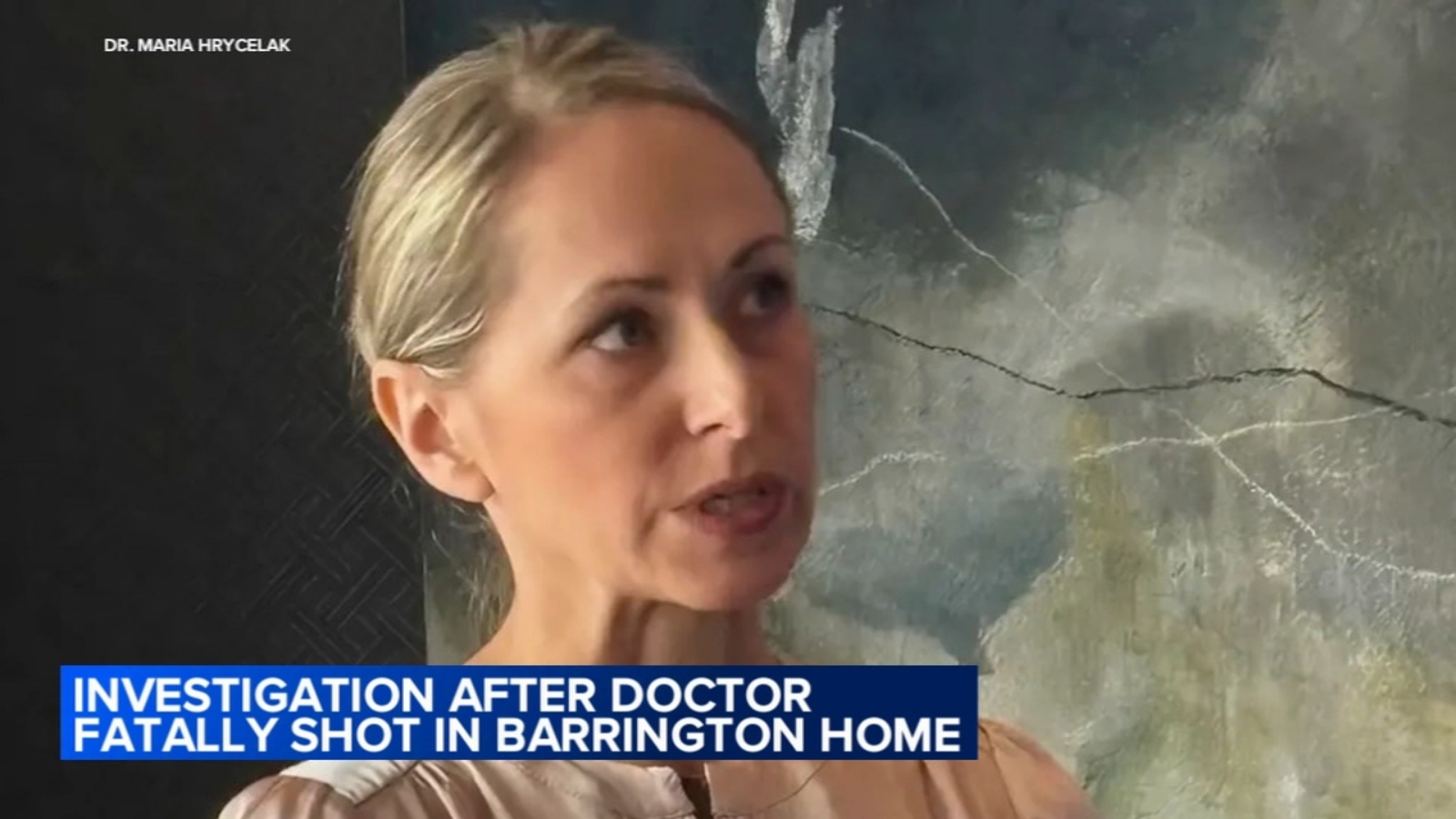 Barrington shooting: Well-regarded endocrinologist, Vernon Hills woman ...
