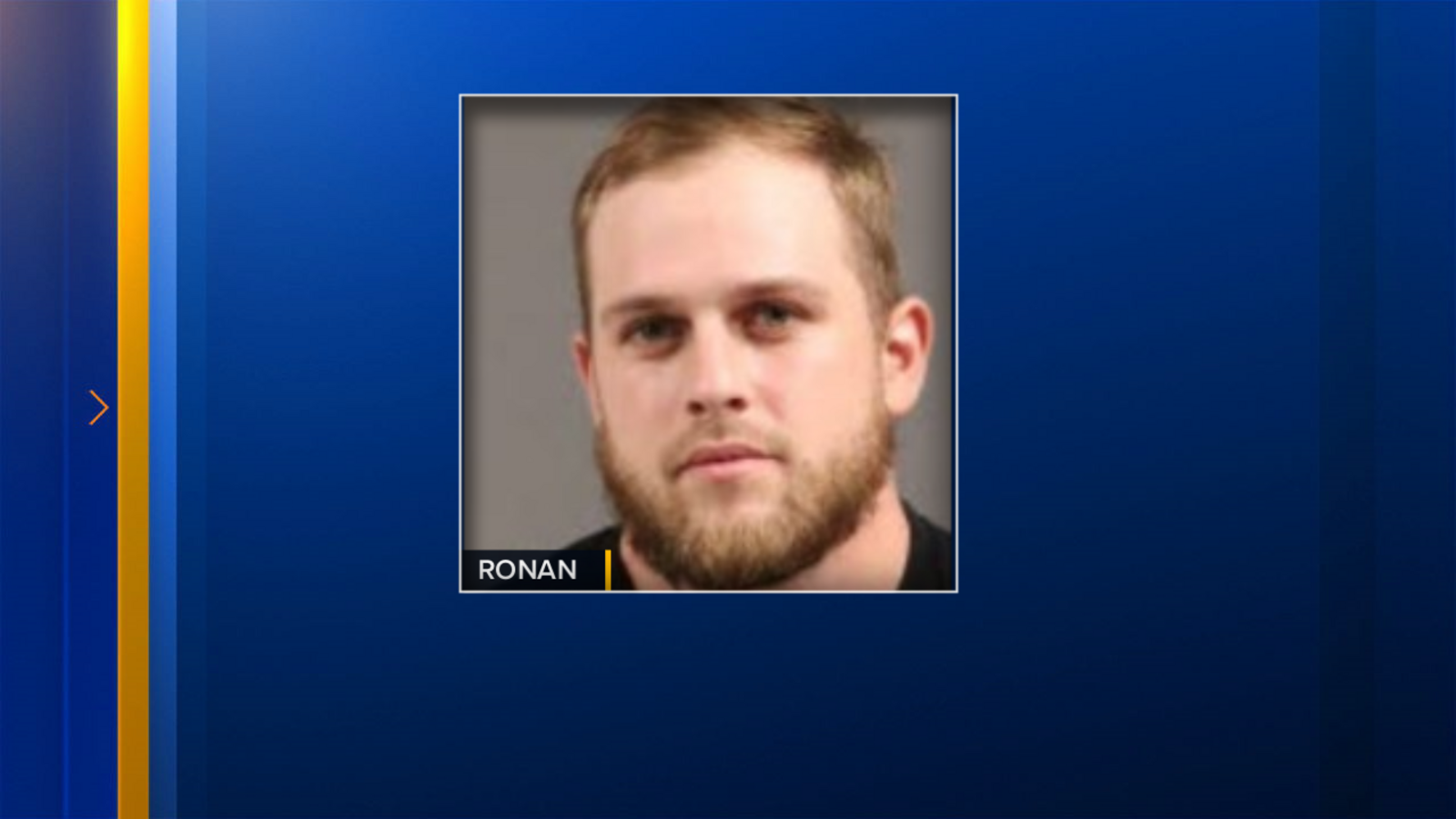 Man beaten with brick outside Montgomery County home; suspect Joshua Ronan arrested - 6abc ...