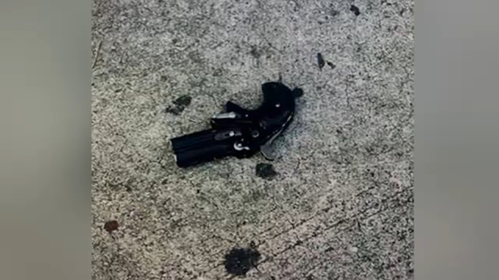Gun found by police after school fight in East Williamsburg, Brooklyn ...