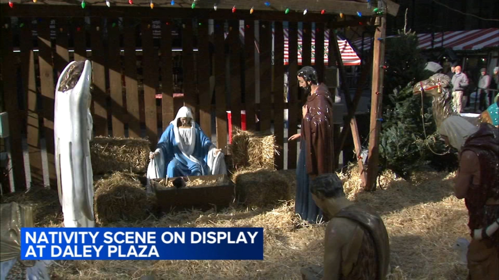 Chicago Nativity Scene on display downtown in Daley Plaza ahead of ...