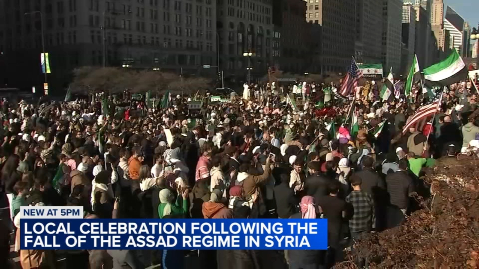 Syrian-Americans in Chicago celebrate Bashar Al-Assad's resignation ...
