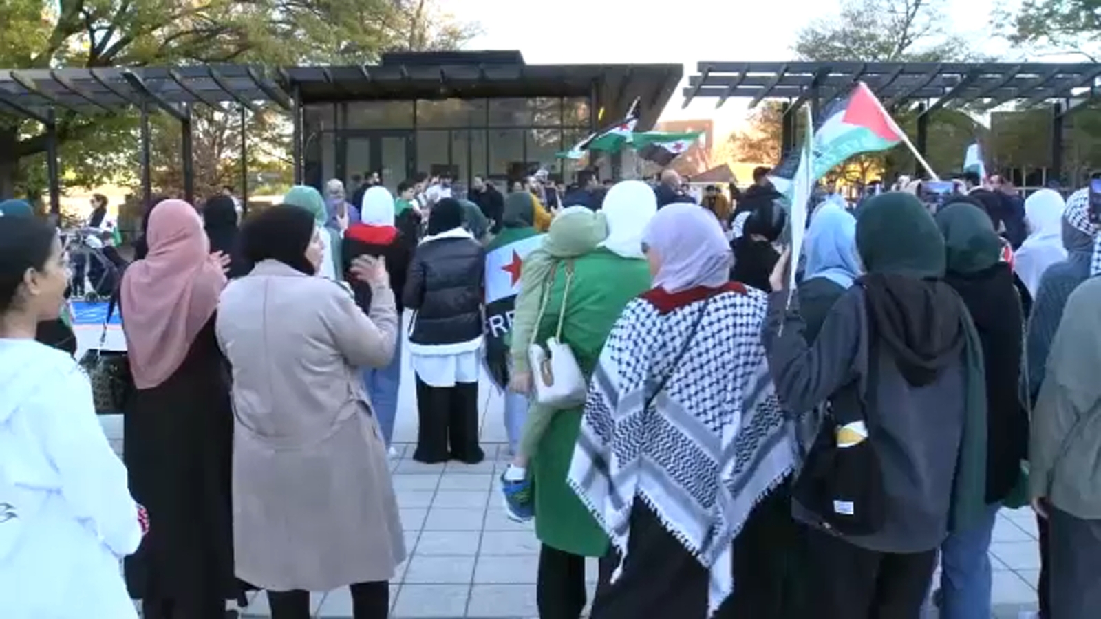 War in Syria | Syrian immigrants, refugees in Triangle celebrate rebel ...