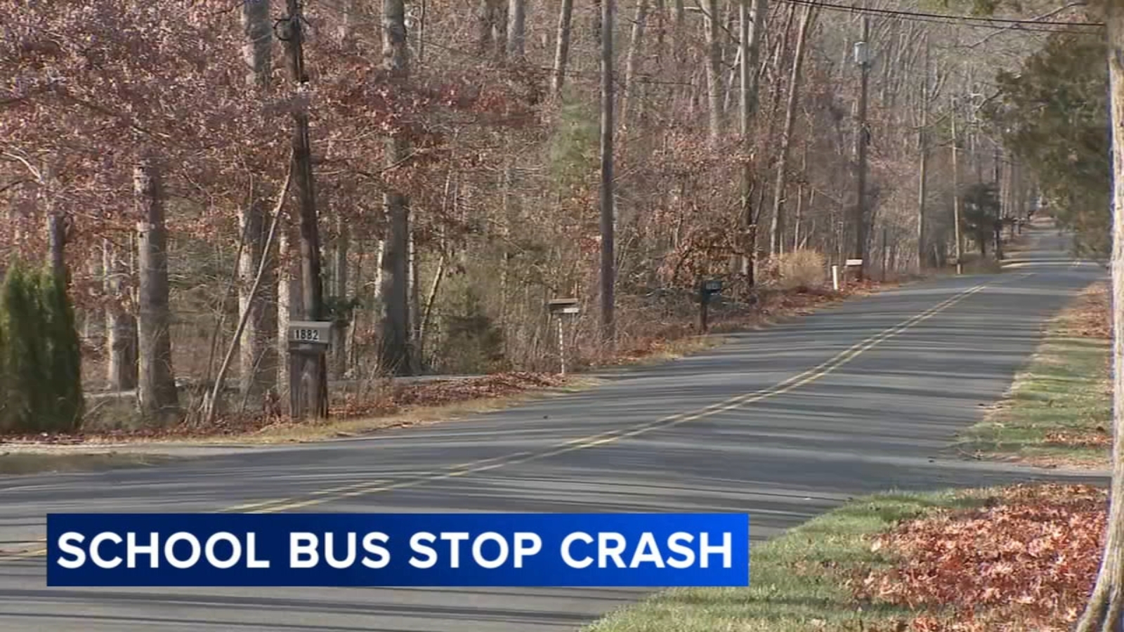 Distracted driver hits child, grandparent crossing in front of Franklin ...