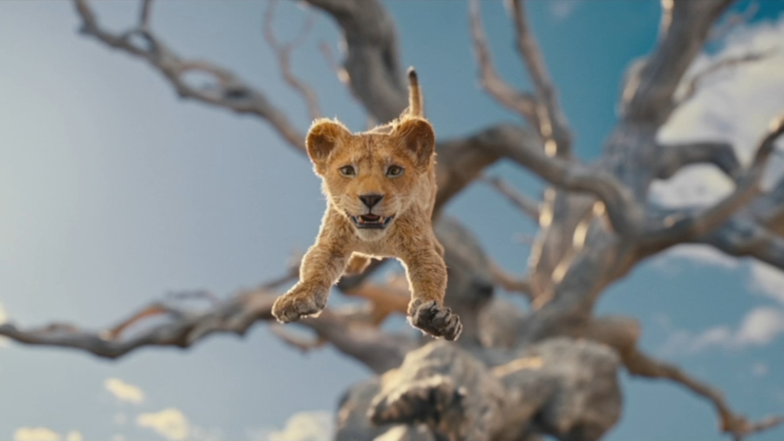 Director Barry Jenkins and songwriter Lin-Manuel Miranda share ...