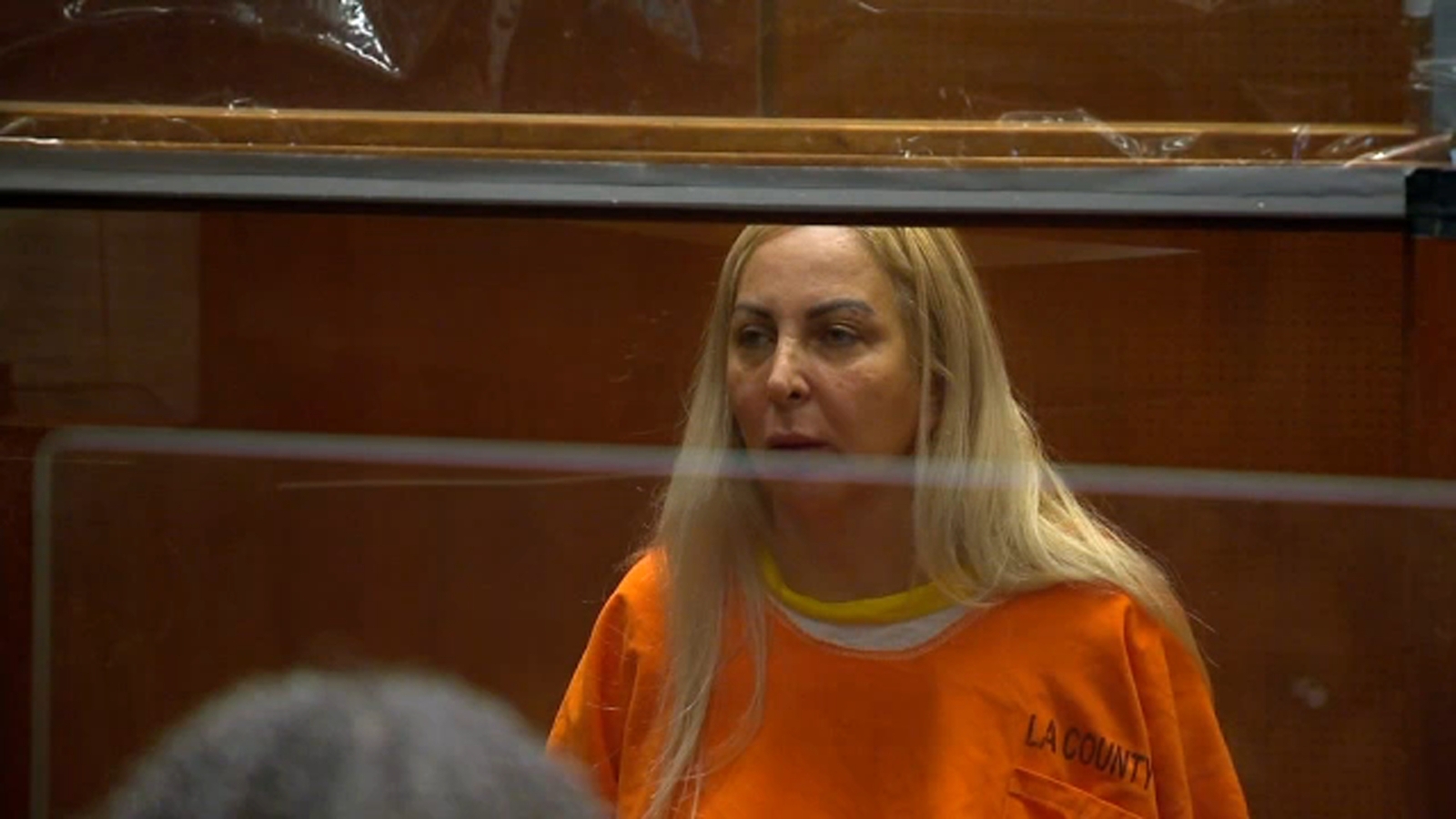 Ahang Mirshojae, ex-wife of Woodland Hills Dr. Hamid Mirshojae, makes first court appearance ...