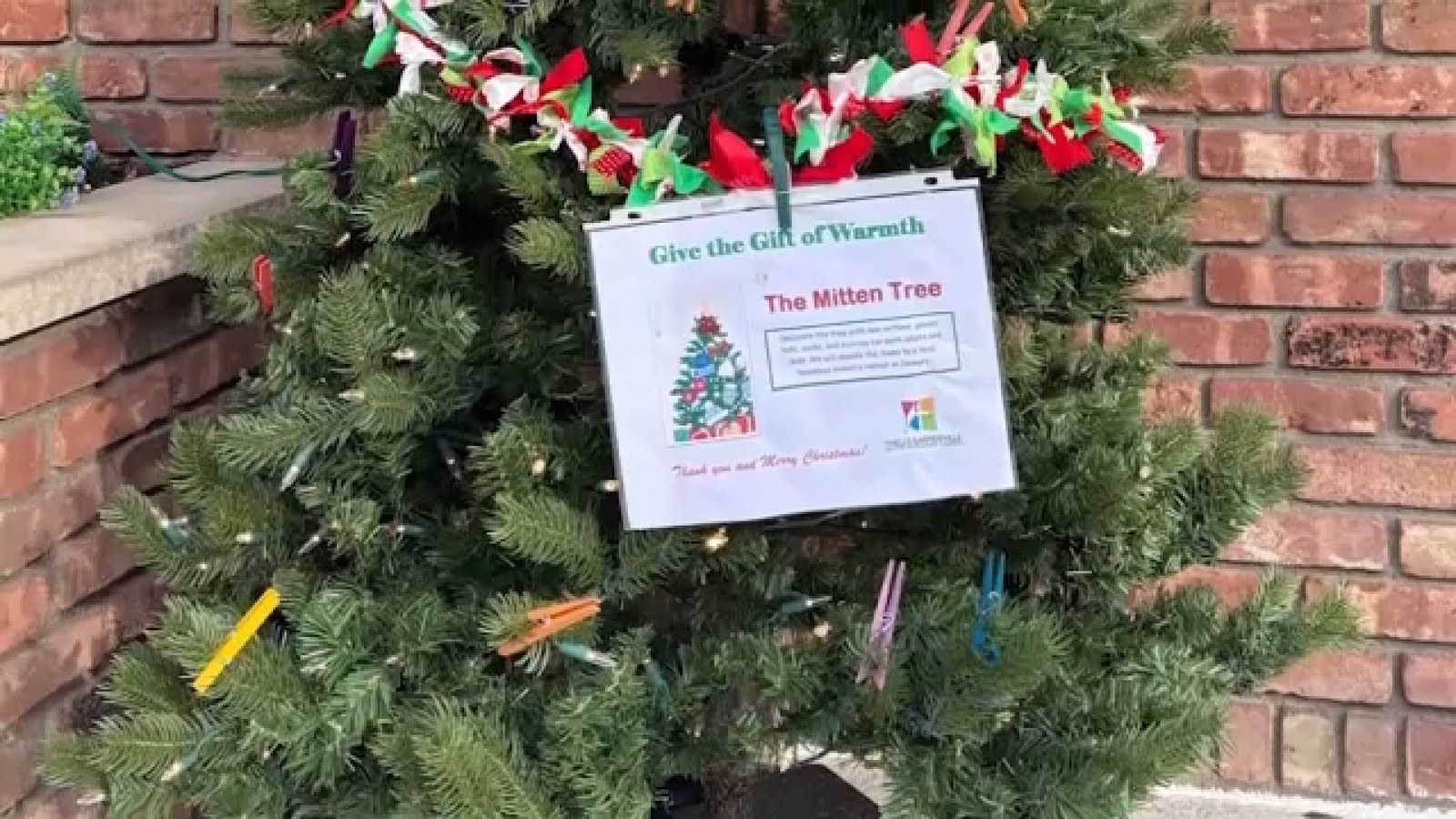 'Mitten tree' benefitting the homeless stolen from Rockland County, NY ...
