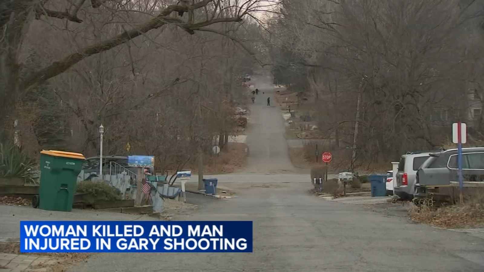 Gary shooting kills Margaret Mary Sangerman, critically injures husband ...
