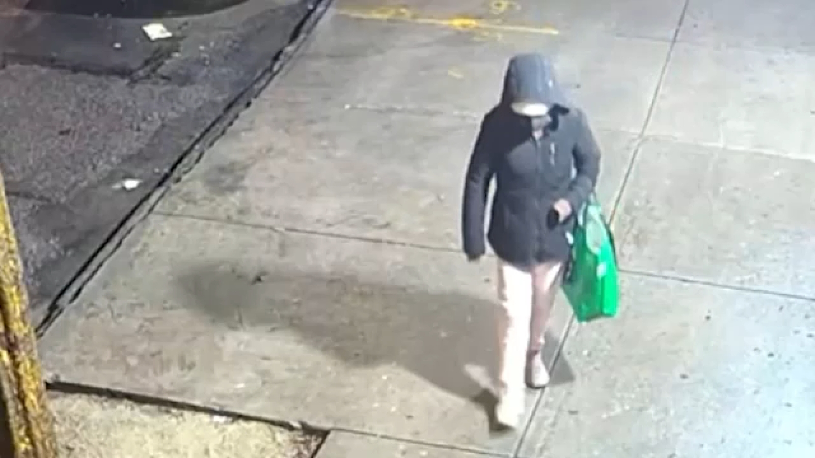 Baby abandoned Bronx: 26-year-old woman arrested after newborn found ...