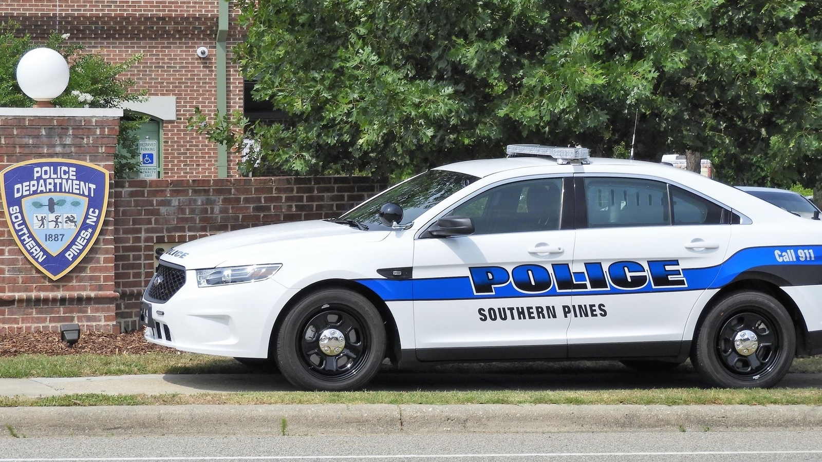 Dog dies by hanging after it jumps from hot car in North Carolina ...