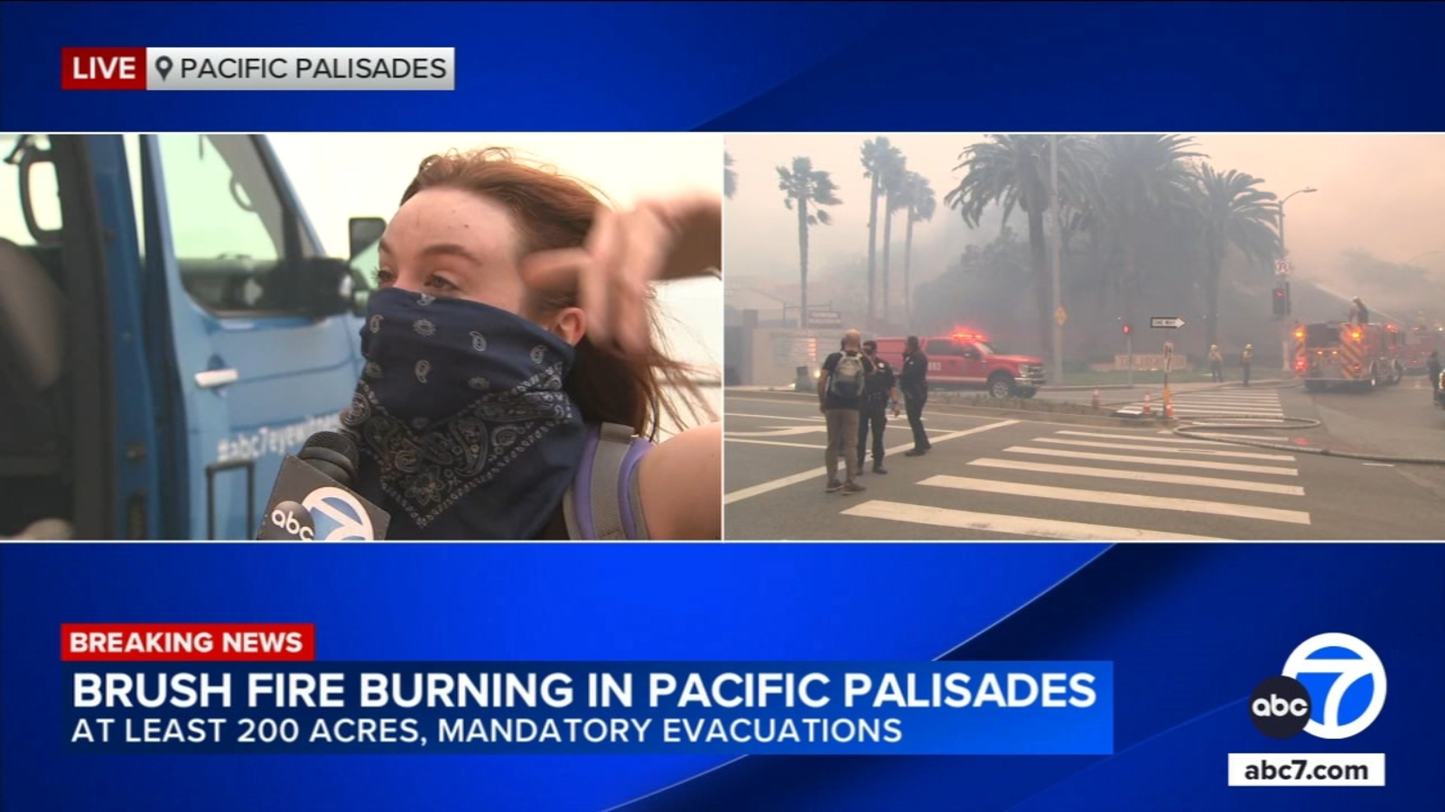 Resident recounts getting hit with flaming palm fronds as she fled fire ...