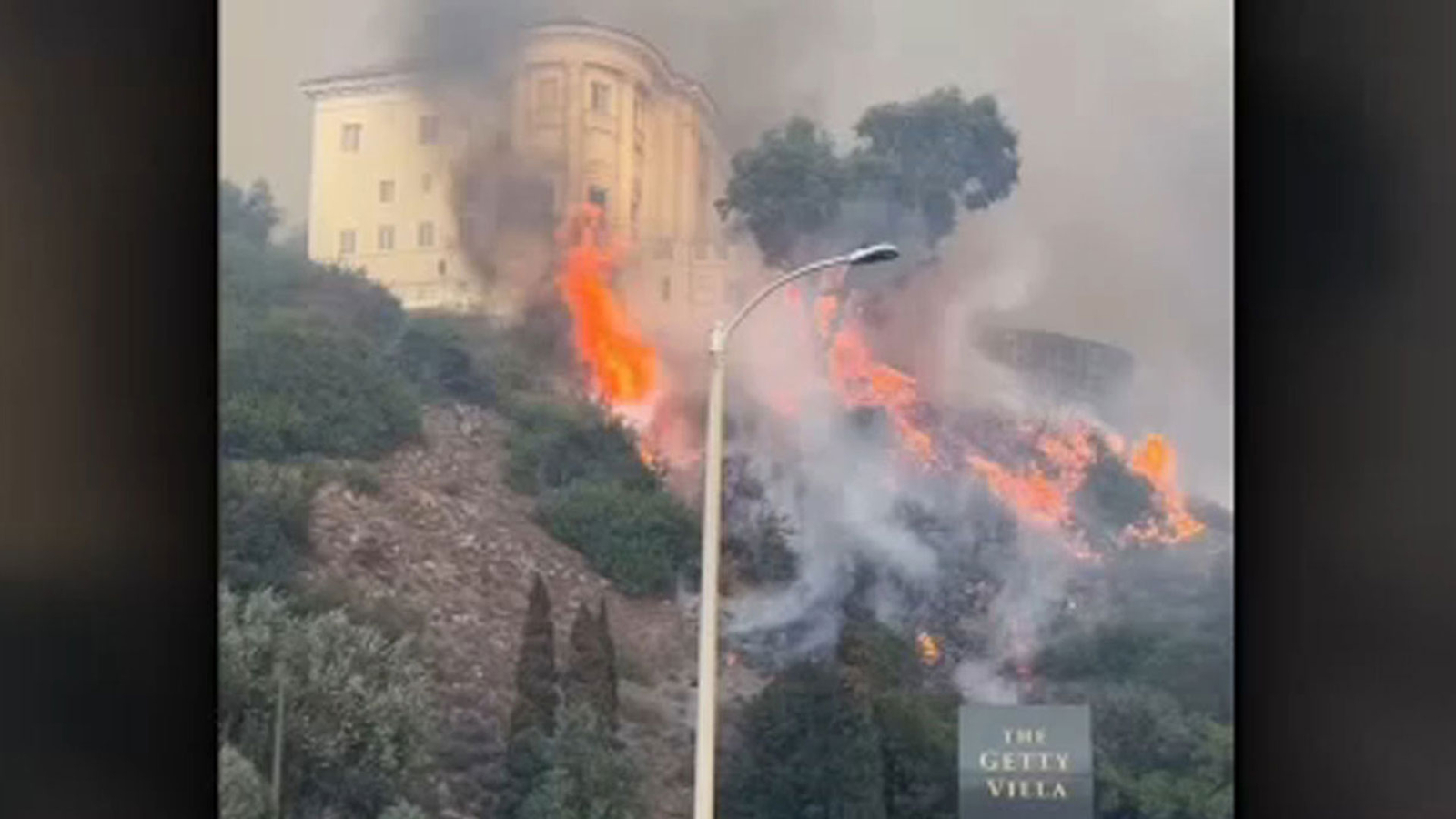 Trees, brush on Getty Villa Museum grounds catch fire - ABC7 Los Angeles