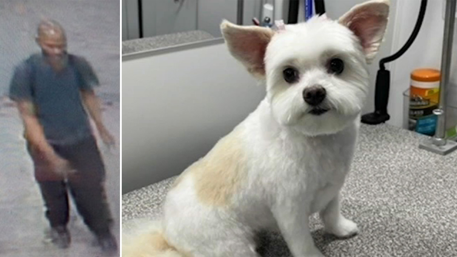 Police release photo of suspect as search continues for stolen car and ...