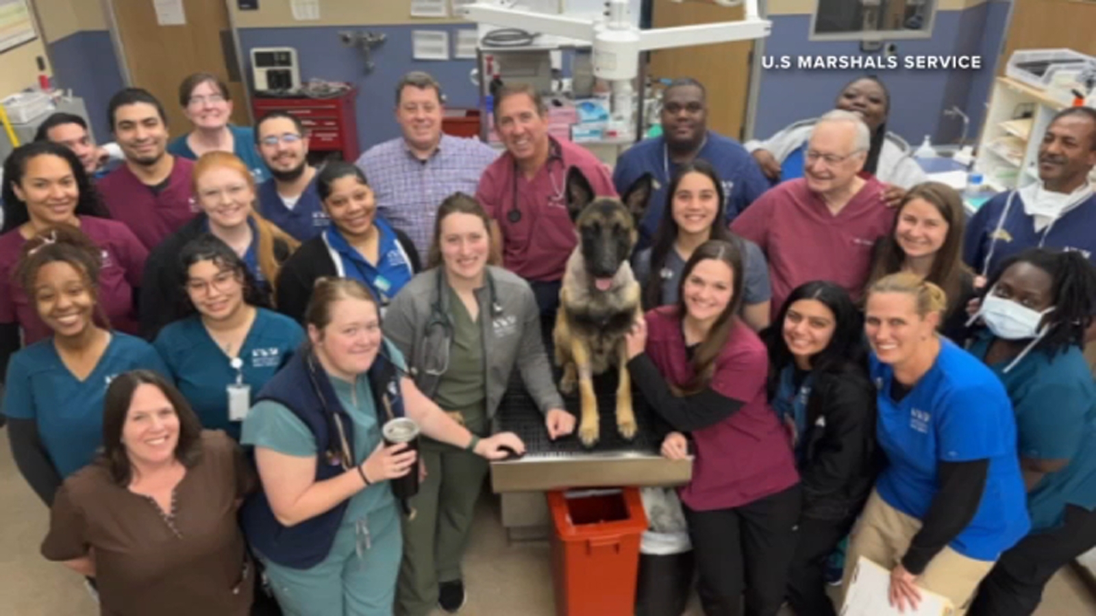 K-9 officer Rocky released from Westbury Animal Hospital after being ...