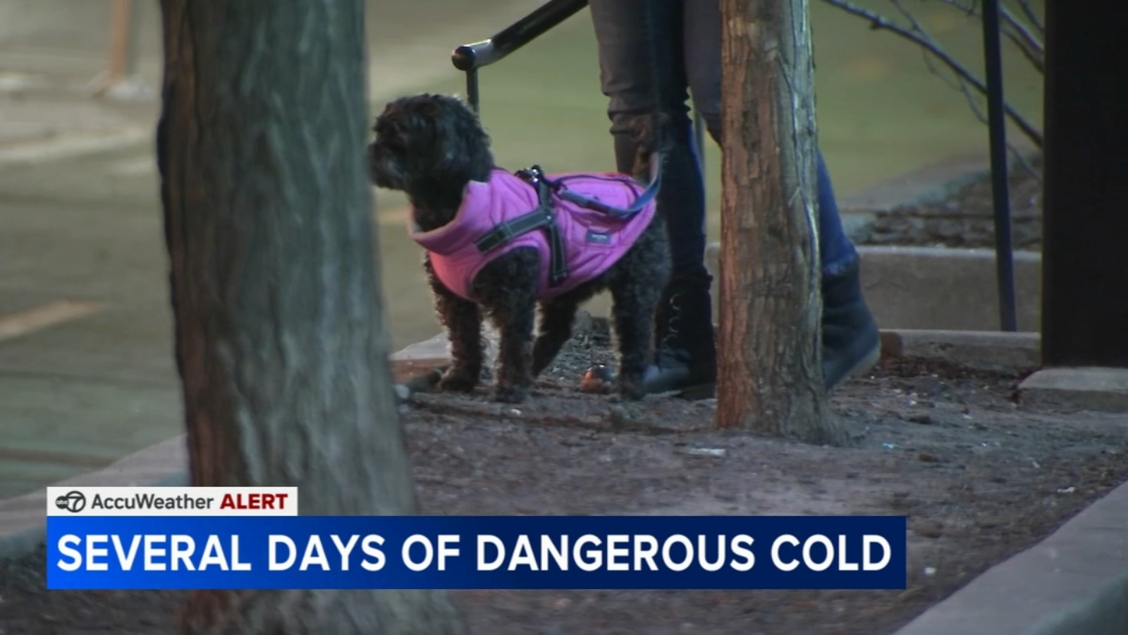 Sunday Chicago area weather forecast includes an AccuWeather Alert for ...