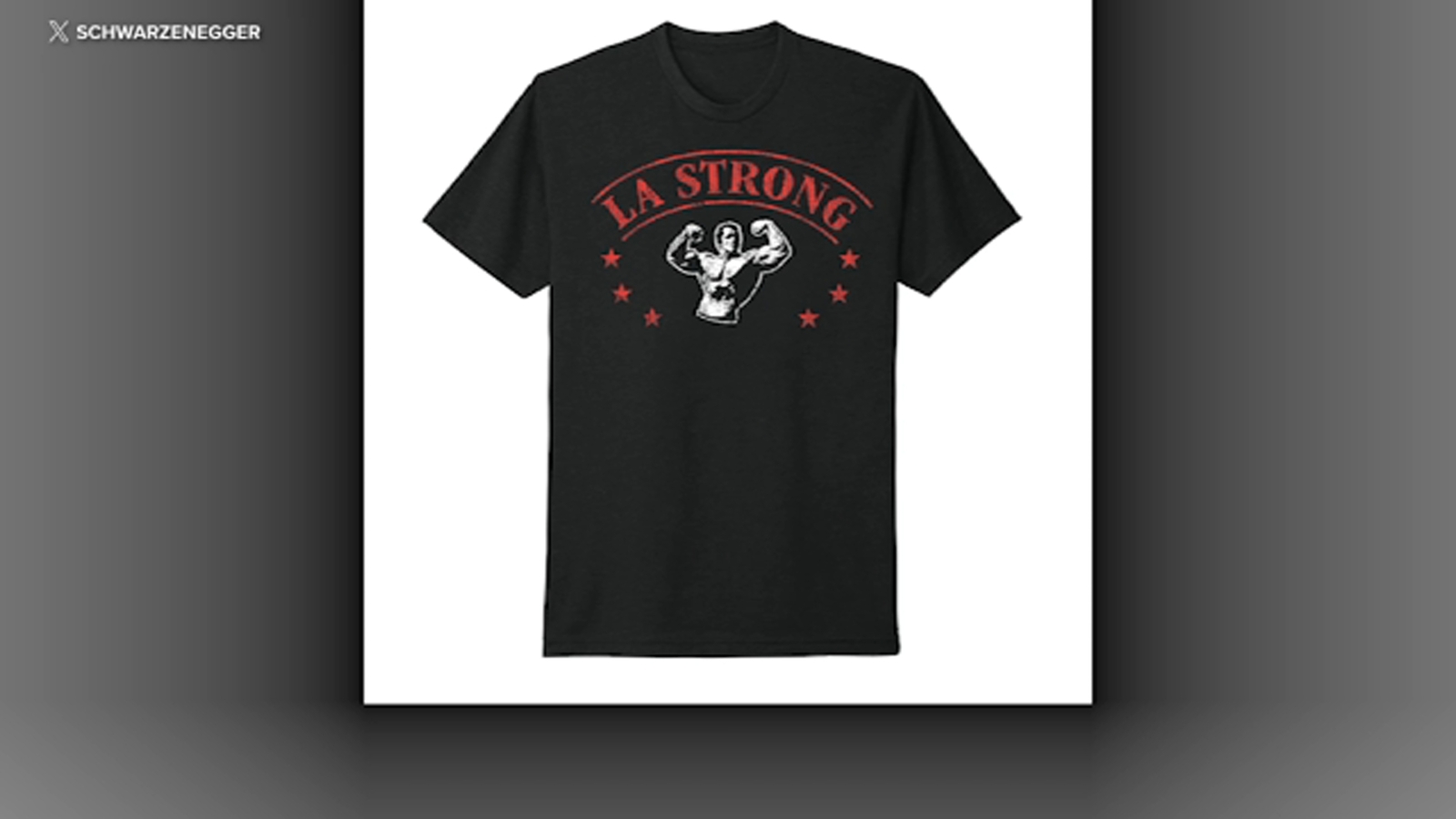 Schwarzenegger says he's donating $1 million for wildfire relief - ABC7 ...