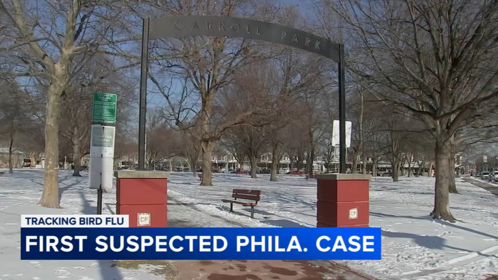 First suspected case of bird flu in Philadelphia detected in snow goose ...