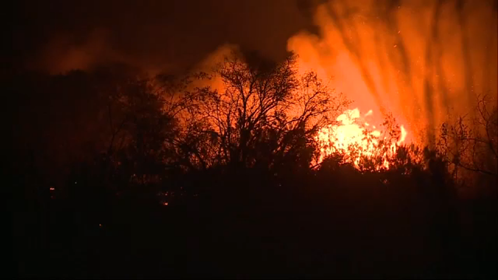 Border 2 Fire spreads to more than 4,200 acres in San Diego County ...