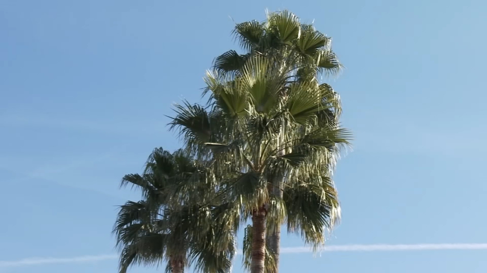 Preparing for the weekend storm system - ABC30 Fresno