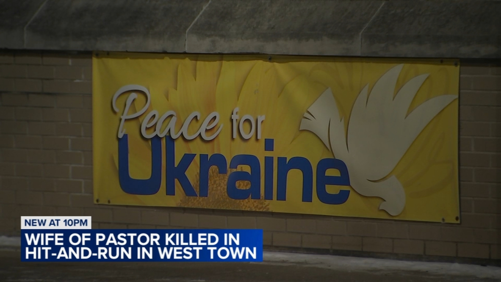 Chicago hit and run: Ukrainian woman Halyna Hudzan killed by car in ...