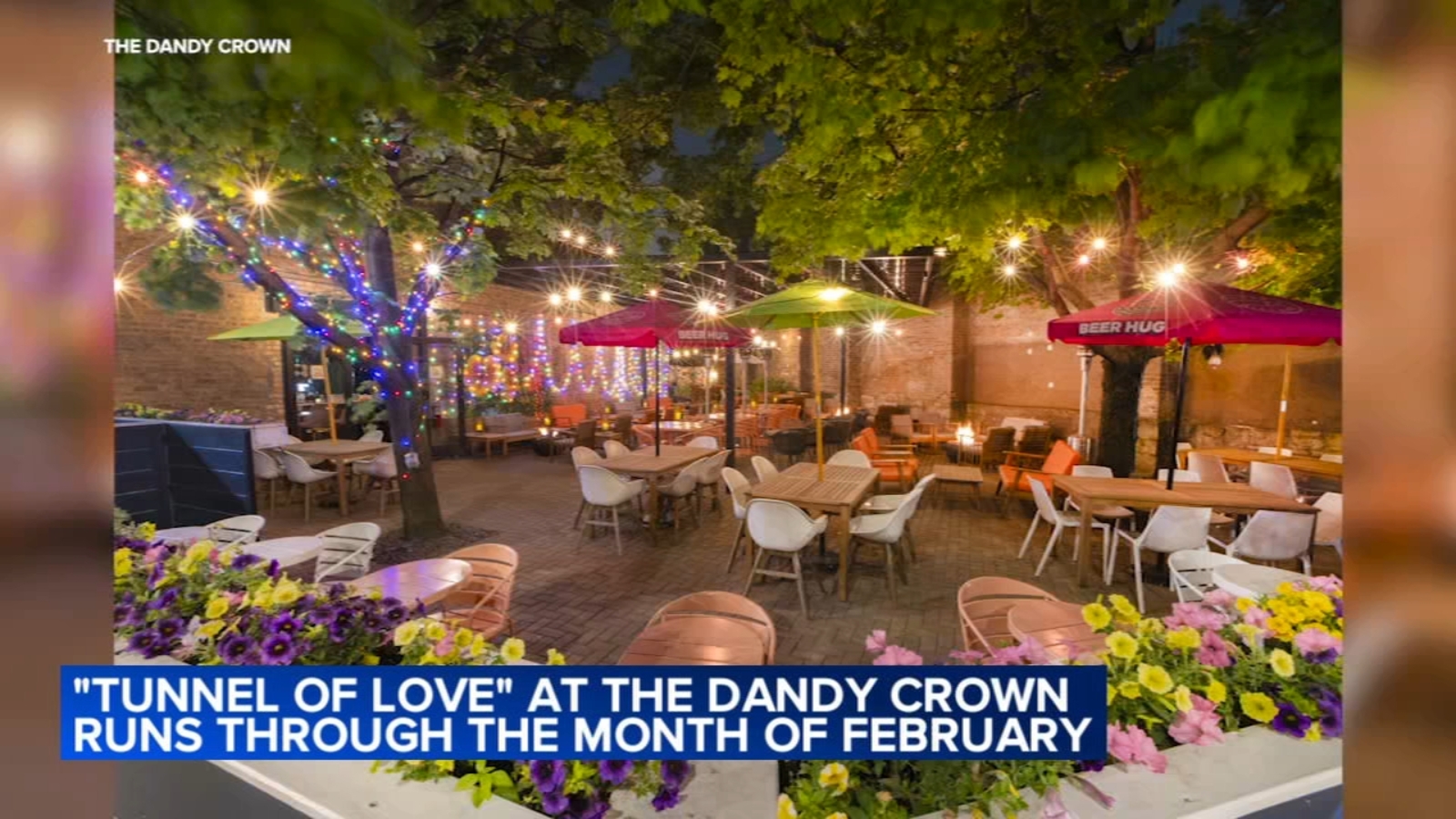 Valentine's Day Chicago things to do: Love-themed pop-up opens at Dandy ...