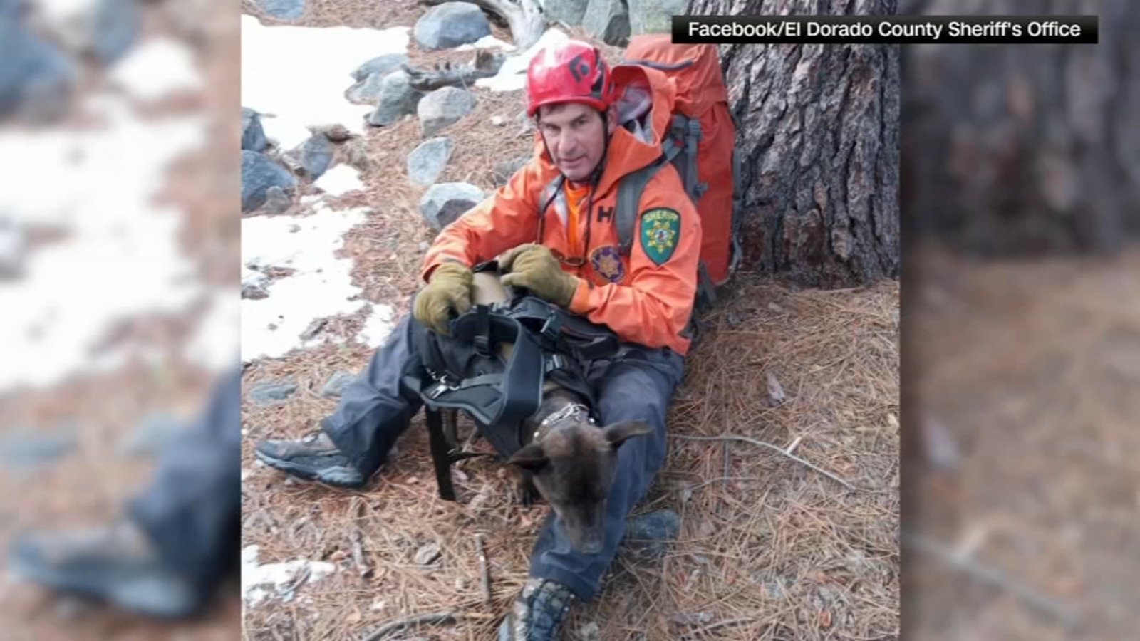 Dog rescued after falling 200 feet down Cascade Falls in California ...
