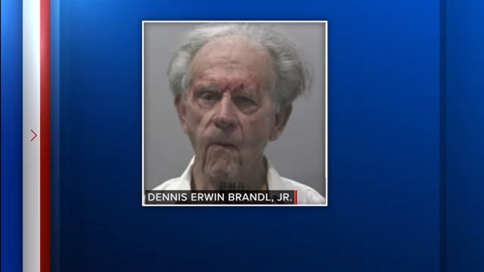 Dennis Erwin Brandl Jr., 83, charged with aggravated assault with a ...