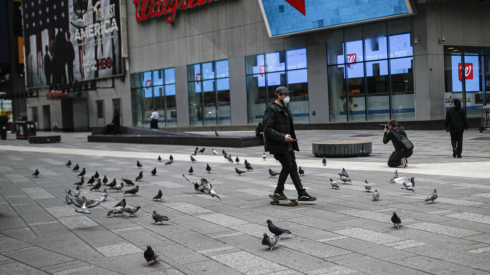 Can pigeons in NYC get bird flu? Symptoms to know and whether humans ...