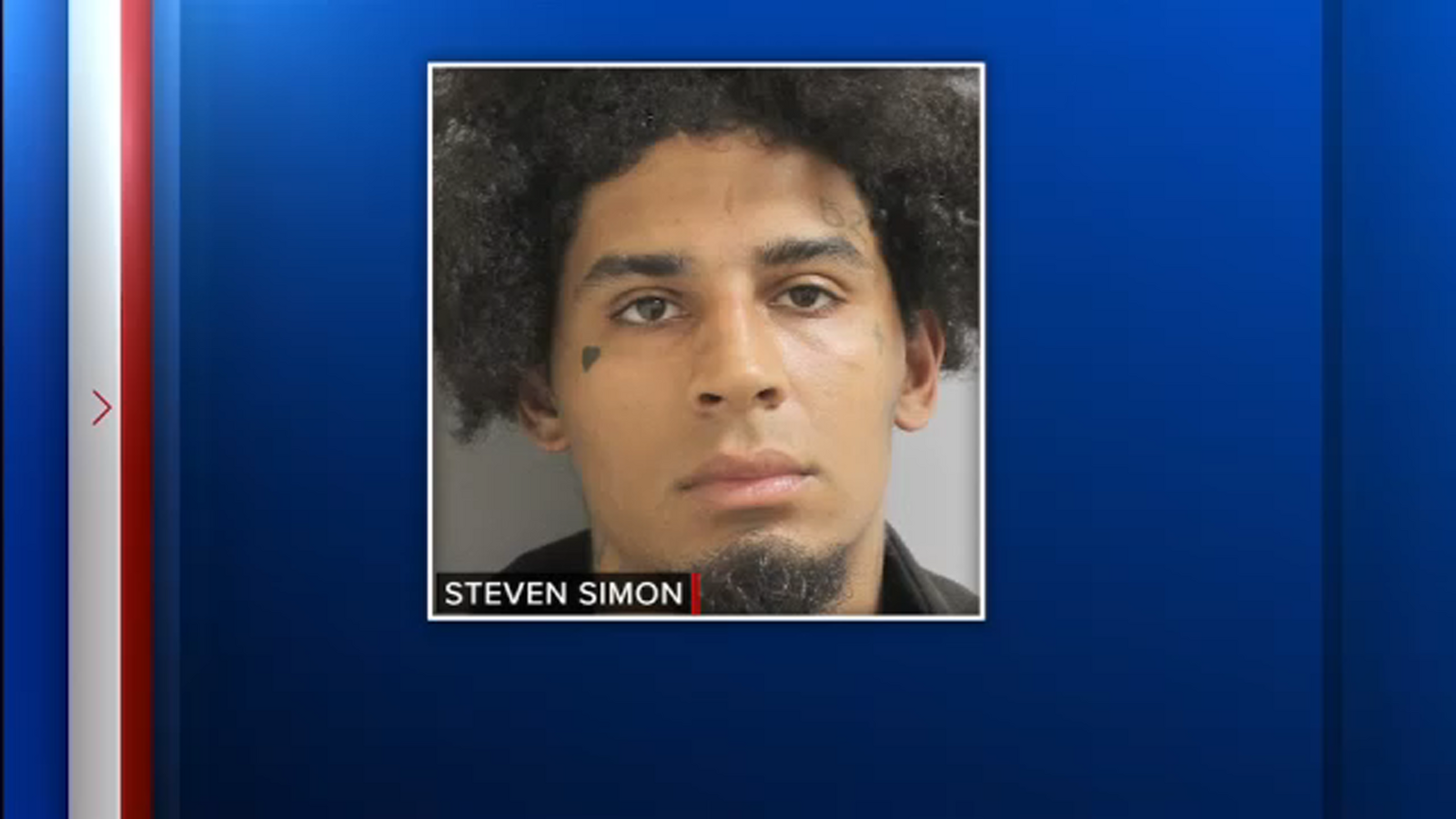 Steven Simon, 28, faces felony theft charges in connection to 2 scooter ...