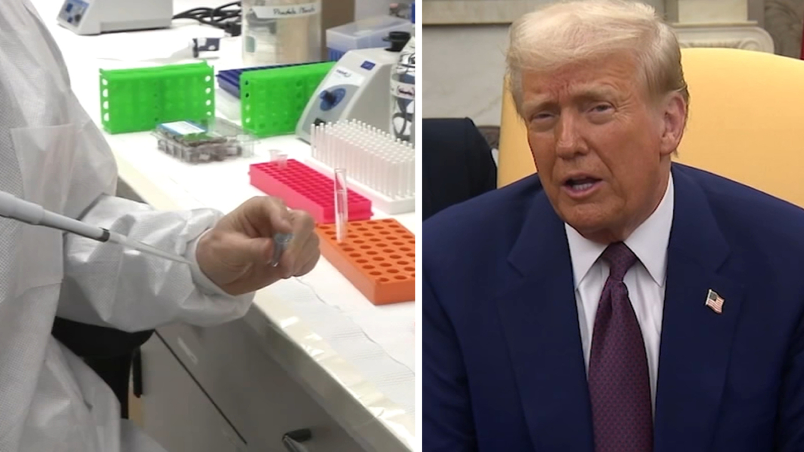 Bay Area HIV/AIDS expert sounds alarm on President Donald Trump's ...