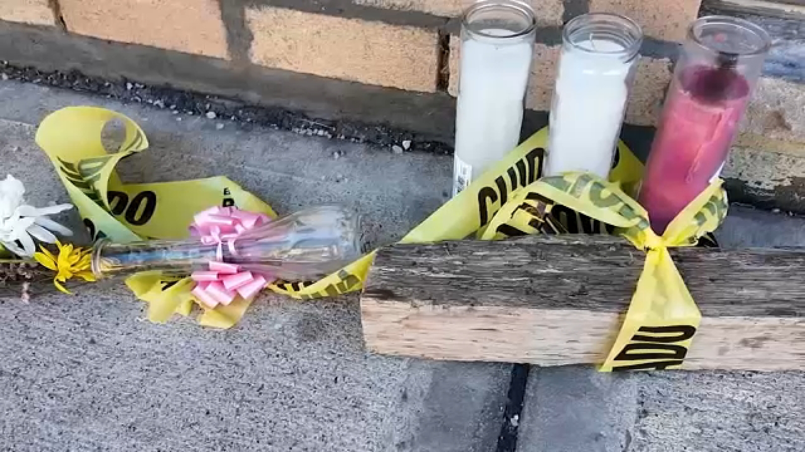 Suspect charged with murder in gruesome killing of two women in ...