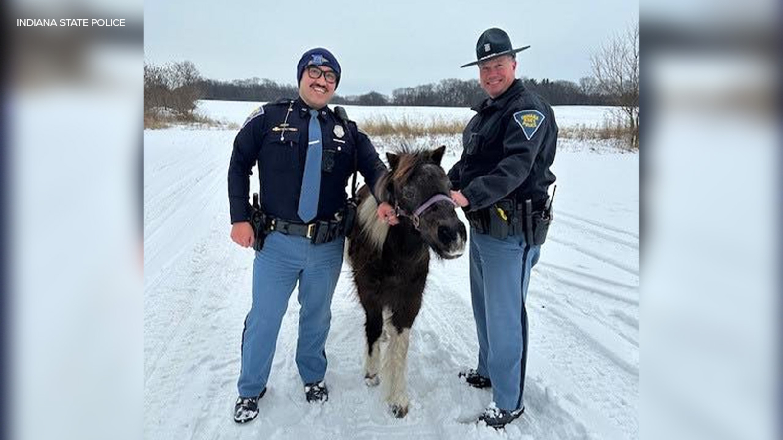 'Sassy' the pony leads Indiana troopers on extensive chase in LaPorte ...