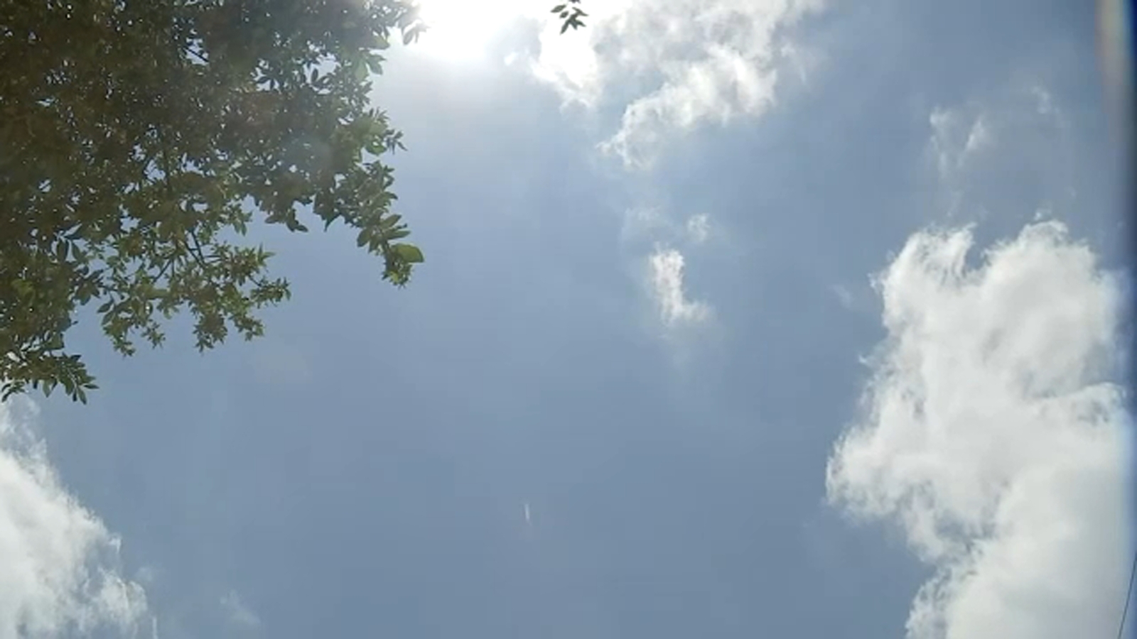 Houston Harris Heat Action Team releases study showing how greenspace can impact dangerous heat ...