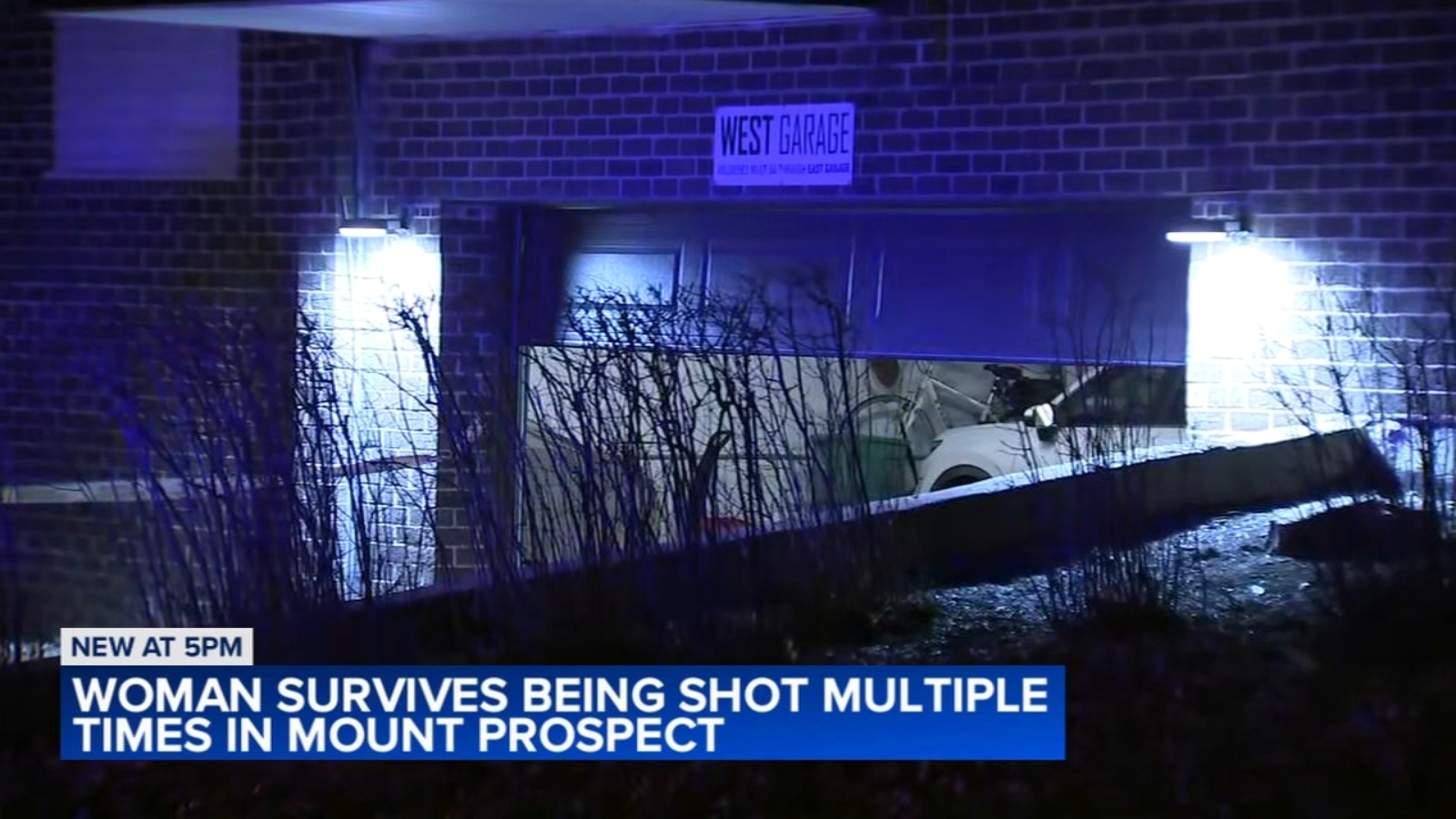 Mount Prospect attempted murder-suicide: Woman survives being shot 11 ...