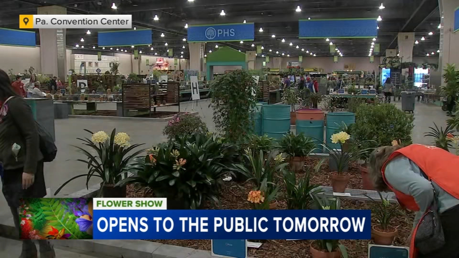 Philadelphia Flower Show opens to public this weekend - 6abc Philadelphia