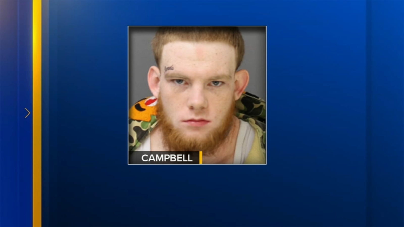 Arrest made in hit-and-run that left 8-year-old boy critically injured in Chester, Pa. - 6abc ...