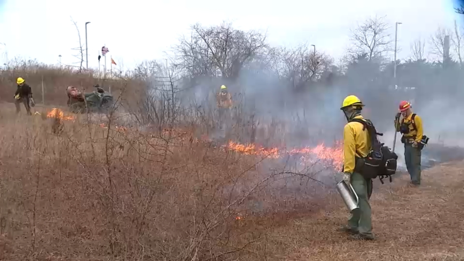 Controlled burn on Long Island at Hempstead Plains Preserve aims to ...