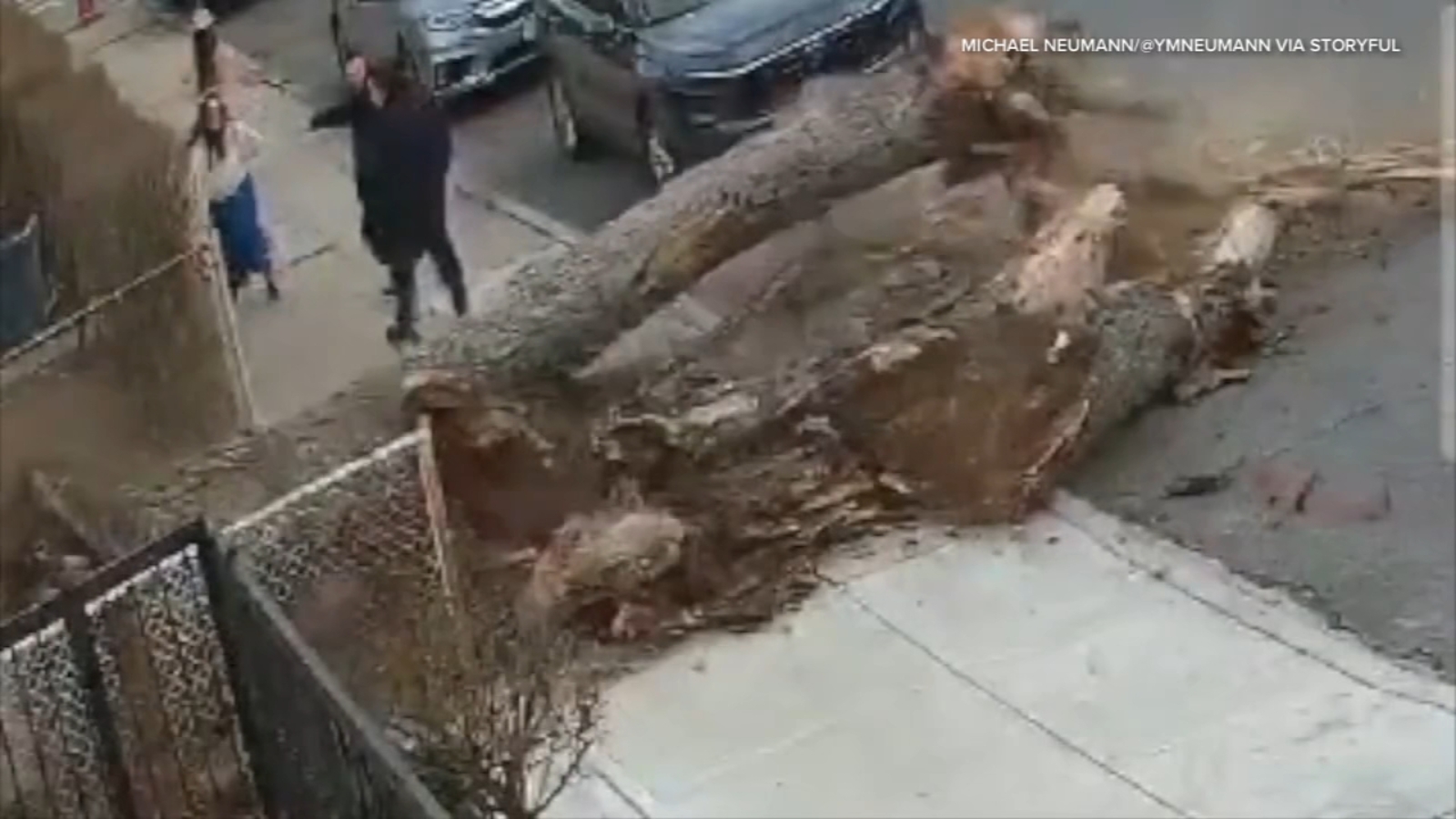 'God saved us': Family speaks out after nearly being crushed by tree in ...