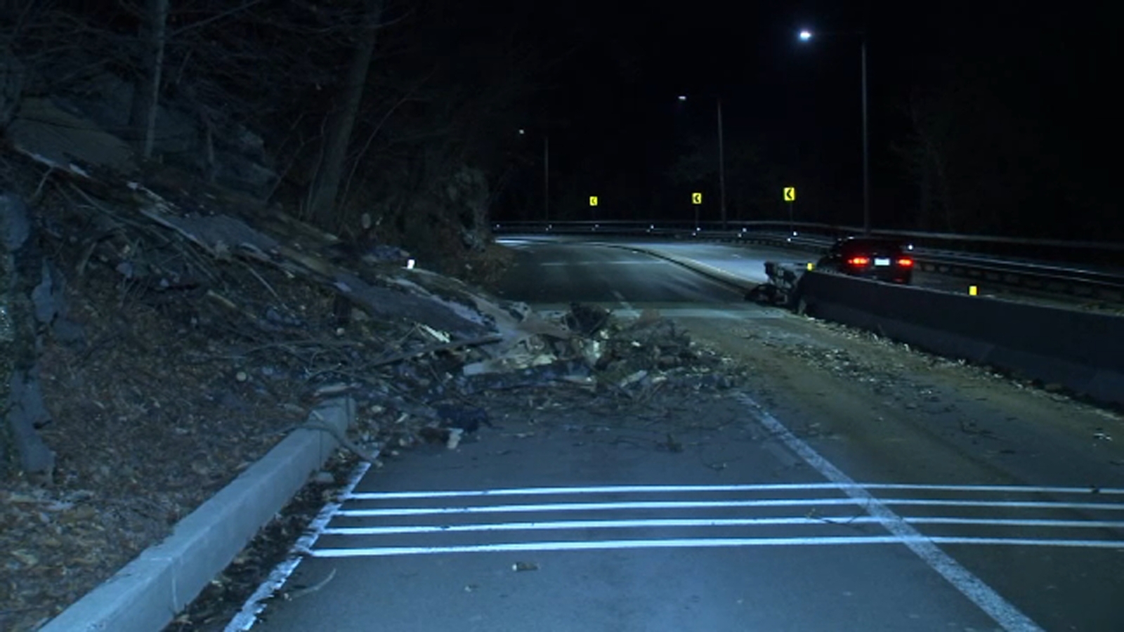Large tree falls, blocks Lincoln Drive OB lanes in Philadelphia's East ...