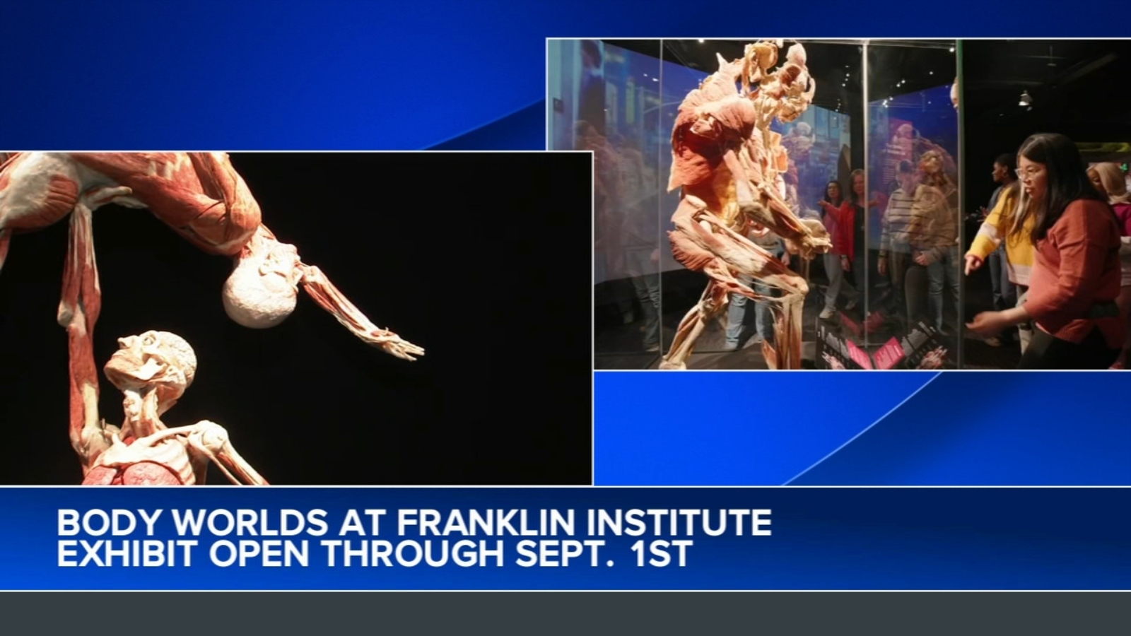Body Worlds goes beneath the surface at Philadelphia's Franklin ...