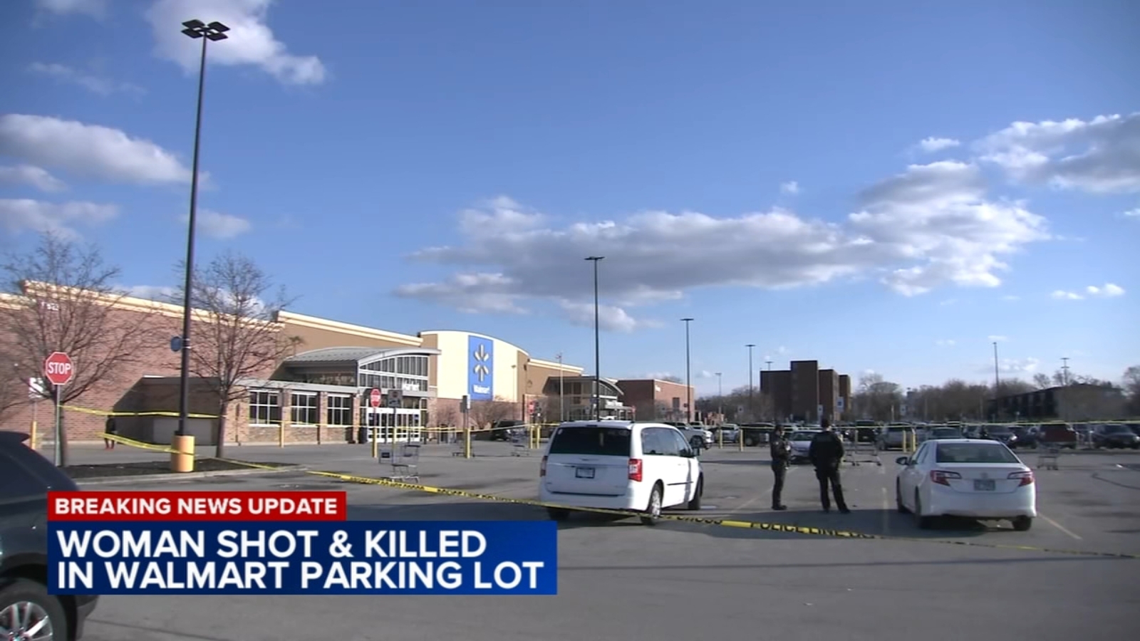 Lansing, Illinois shooting: 66-year-old woman shot, killed in parking ...