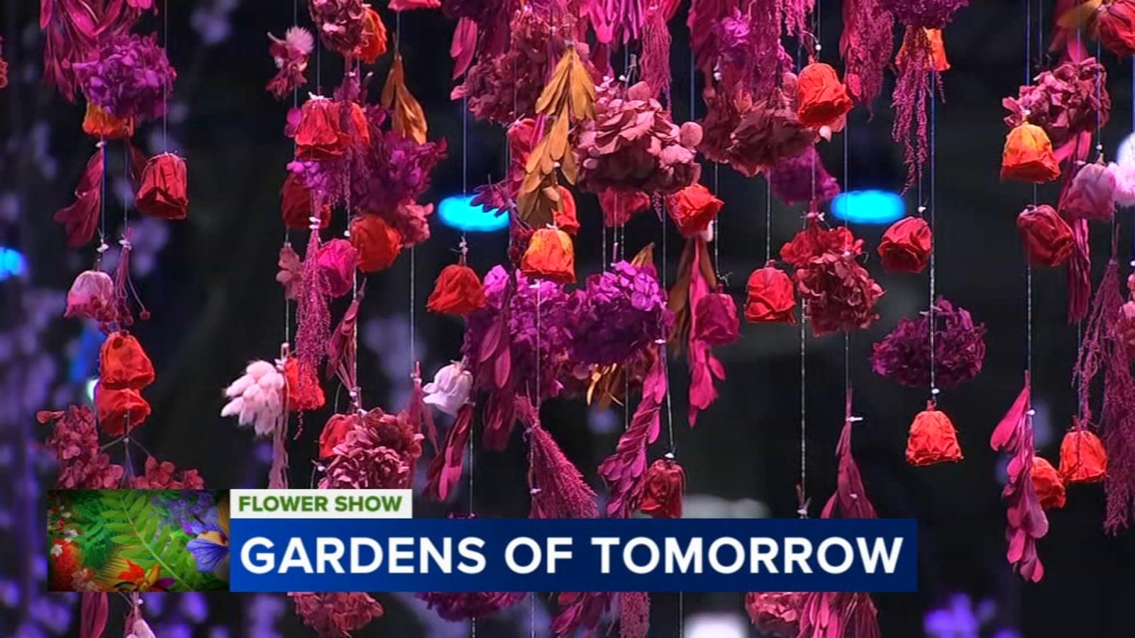 Flower show in full bloom even on last day - 6abc Philadelphia