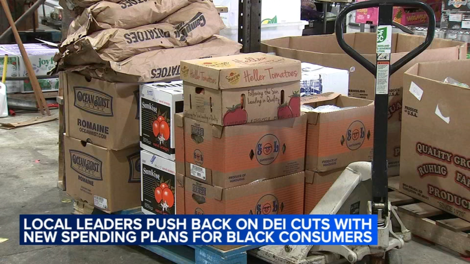 Chicago leaders, inspired by boycott of retailers who cut DEI programs ...